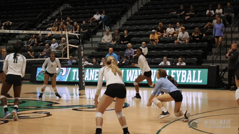 Athletics Volleyball GIF by GreenWave - Find & Share on GIPHY