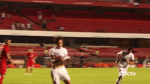 Spfc GIF by São Paulo FC - Find & Share on GIPHY