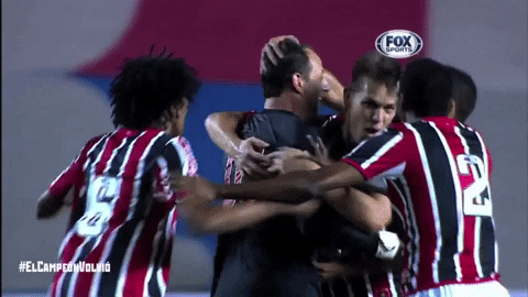 Spfc GIF by São Paulo FC - Find & Share on GIPHY