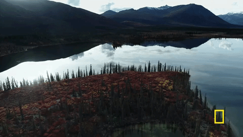 Life Below Zero GIF by National Geographic Channel - Find & Share on GIPHY