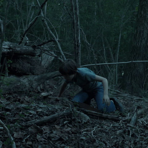 Ozark GIF by NETFLIX - Find & Share on GIPHY