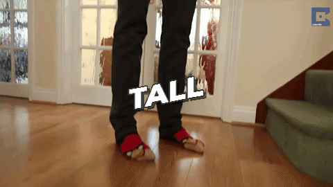 GIF by Tall Guys Free - Find & Share on GIPHY