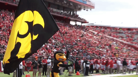 GIF by University of Iowa Hawkeyes Athletics - Find & Share on GIPHY
