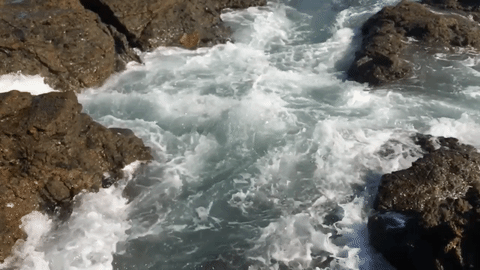 Tide Tidepool GIF by Justin - Find & Share on GIPHY