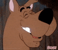 Happy Laugh GIF by Scooby-Doo - Find & Share on GIPHY