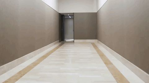 Simone Dipietro Simonedicequalcosa Domenico De Fazio Video Cammelli ...