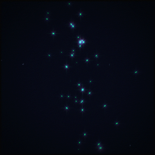 Stars Glow GIF by Erica Anderson - Find & Share on GIPHY