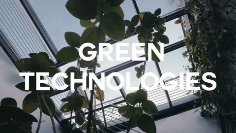 Simone Dipietro Simonedicequalcosa Domenico De Fazio Video Cammelli ...