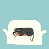 Lazy Rest GIF by CsaK - Find & Share on GIPHY