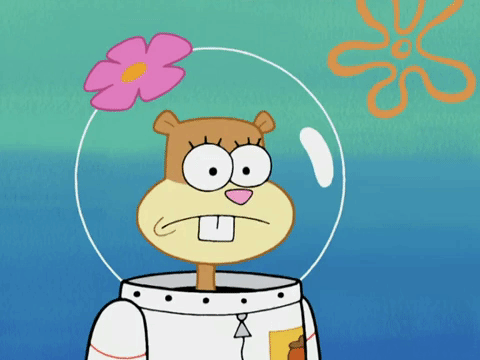 Season 4 Bummer Vacation GIF by SpongeBob SquarePants - Find & Share on ...