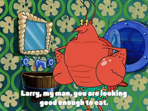 Season 3 GIF by SpongeBob SquarePants - Find & Share on GIPHY