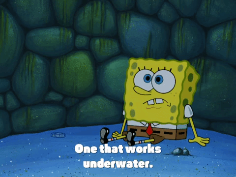 Season 4 GIF by SpongeBob SquarePants - Find & Share on GIPHY