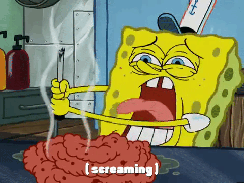 Season 4 GIF by SpongeBob SquarePants - Find & Share on GIPHY