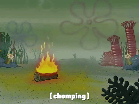 Season 3 Spongebob B.C. GIF by SpongeBob SquarePants - Find & Share on ...