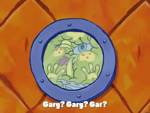 Season 3 Missing Identity GIF by SpongeBob SquarePants - Find & Share ...