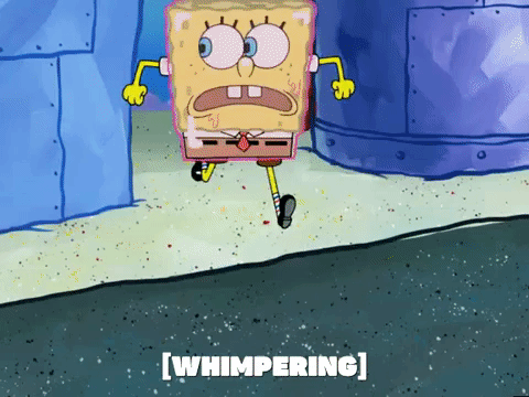 Season 5 Episode 13 GIF by SpongeBob SquarePants - Find & Share on GIPHY