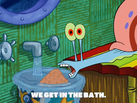 Season 8 Barnacle Face GIF by SpongeBob SquarePants - Find & Share on GIPHY