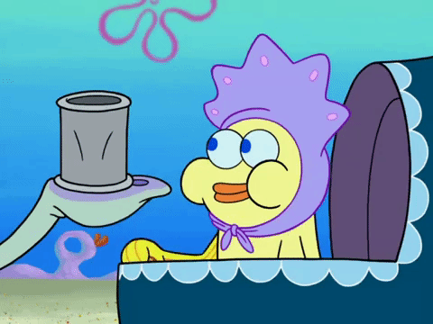 Season 8 GIF by SpongeBob SquarePants - Find & Share on GIPHY