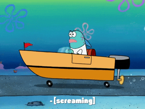 Season 8 Squidward'S School For Grown Ups GIF by SpongeBob SquarePants ...