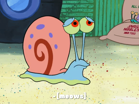 Season 8 Barnacle Face GIF by SpongeBob SquarePants - Find & Share on GIPHY