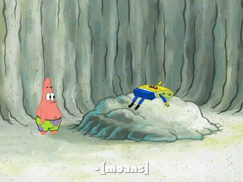 Season 8 Spongebob'S Runaway Roadtrip: Patrick'S Staycation GIF by ...