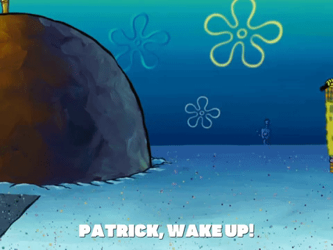 Season 8 Episode 3 GIF by SpongeBob SquarePants - Find & Share on GIPHY