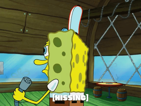 Season 5 Blackened Sponge GIF by SpongeBob SquarePants - Find & Share ...