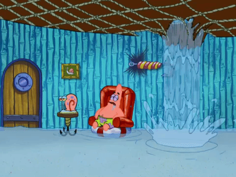 Season 8 Barnacle Face GIF by SpongeBob SquarePants - Find & Share on GIPHY