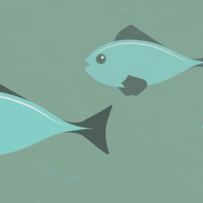 - Find & Share on GIPHY