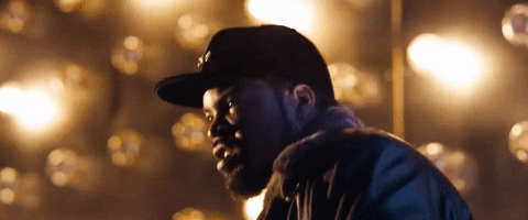 Sic Them Youngins On 'Em GIF by Ice Cube - Find & Share on GIPHY