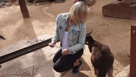 The Next Step Show The World GIF by The Next Step - Find & Share on GIPHY