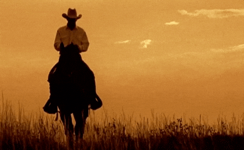 Horsepower GIF by Chris LeDoux - Find & Share on GIPHY