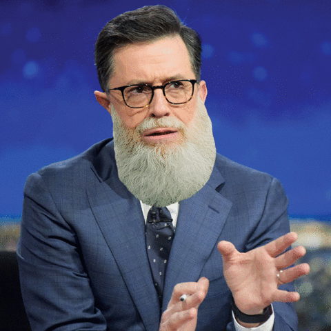 David Letterman Beards GIF by Vulture.com - Find & Share on GIPHY