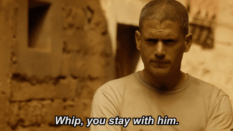 Michael Scofield Fox GIF by Prison Break - Find & Share on GIPHY