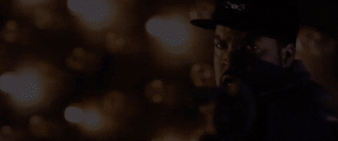 Sic Them Youngins On 'Em GIF by Ice Cube - Find & Share on GIPHY