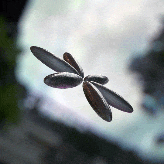 Animation Morph GIF by xponentialdesign - Find & Share on GIPHY