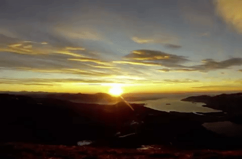 Sunny GIF - Find & Share on GIPHY