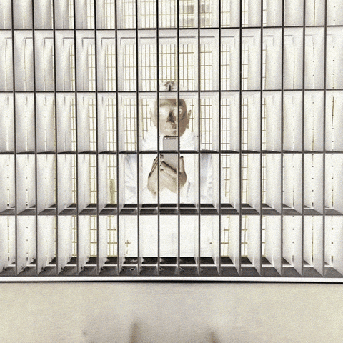 Bathroom Cage GIF by A.M.T.G. G.G. - Find & Share on GIPHY