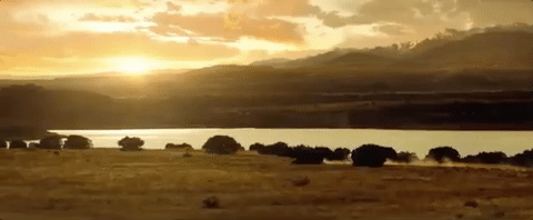 Sony Mag 7 Movie GIF by The Magnificent Seven - Find & Share on GIPHY