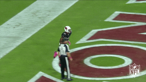 Arizona Cardinals Football GIF by NFL - Find & Share on GIPHY