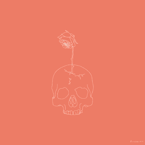Rose Skull GIF by Lunares - Find & Share on GIPHY