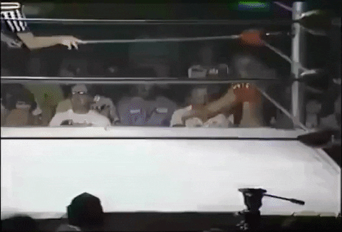 Kevin Sullivan Wrestling GIF - Find & Share on GIPHY