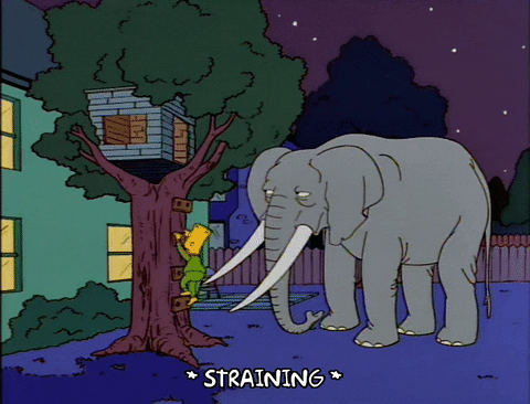 Season 5 GIF - Find & Share on GIPHY