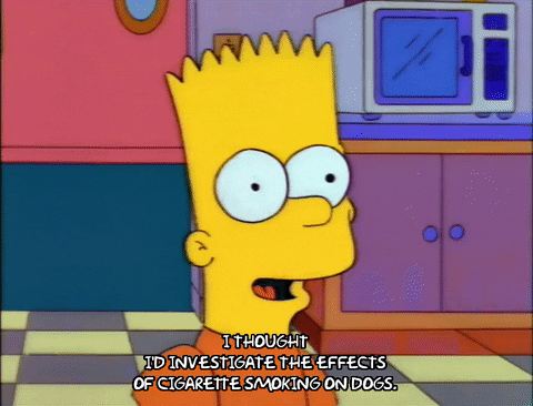 Science Project GIFs - Find & Share on GIPHY