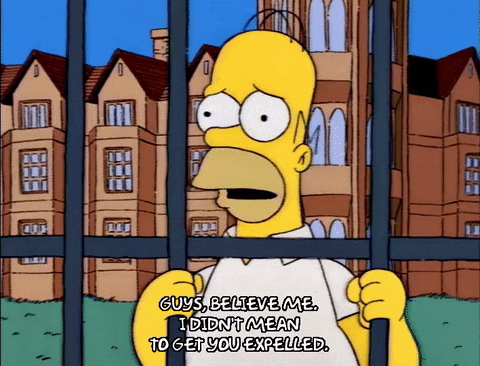 Homer Simpson Episode 3 GIF - Find & Share on GIPHY