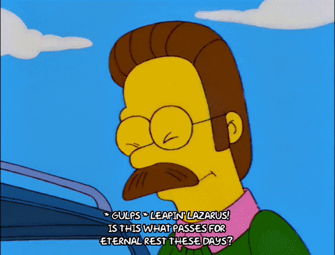 Episode 16 Todd Flanders GIF - Find & Share on GIPHY