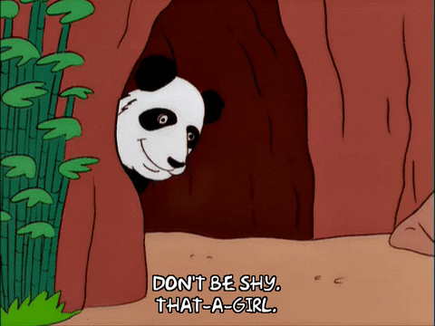 Episode 5 Panda GIF - Find & Share on GIPHY