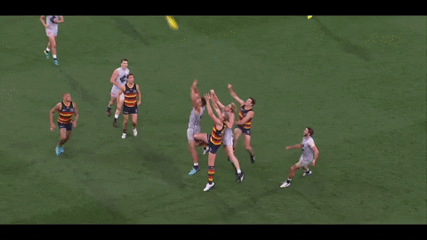 Afl Cey GIF by Adelaide Crows - Find & Share on GIPHY
