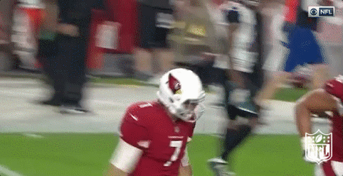Arizona Cardinals Football GIF by NFL - Find & Share on GIPHY