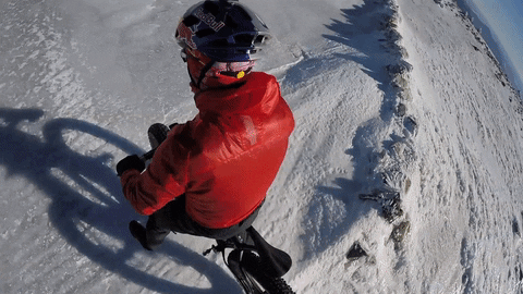 Winter Fail GIF by Red Bull - Find & Share on GIPHY